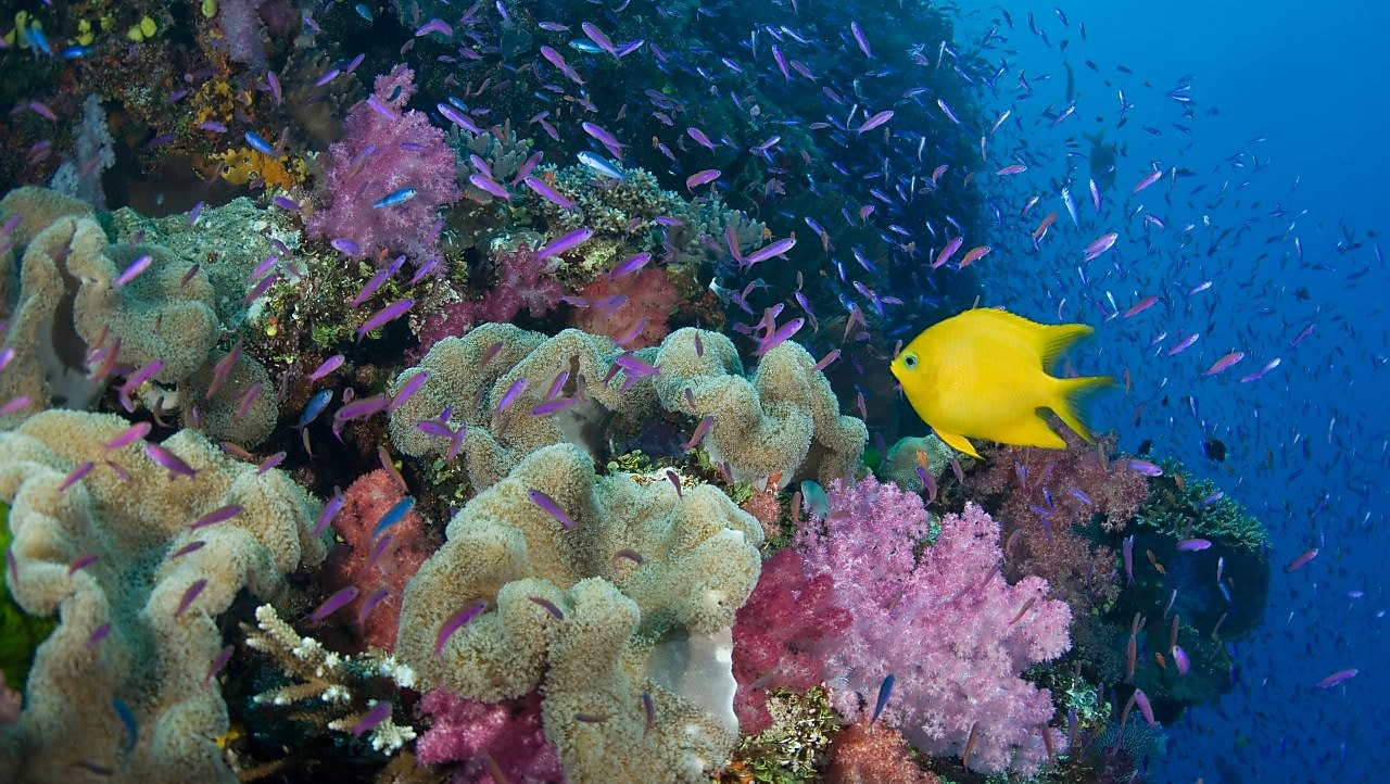 UK Shell Pension Plan (UKSPP) | Shell Pensions in the UK