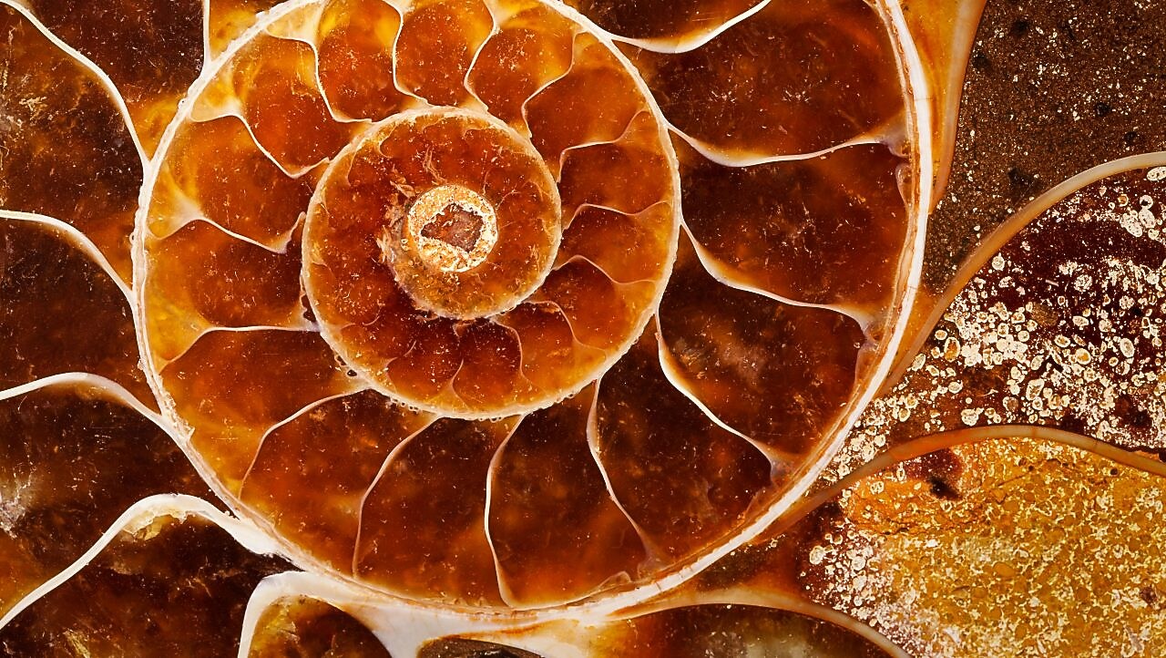 I have left Shell | Shell Pensions in the UK