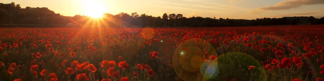 Shell International Pension Fund | Shell Pensions in the UK